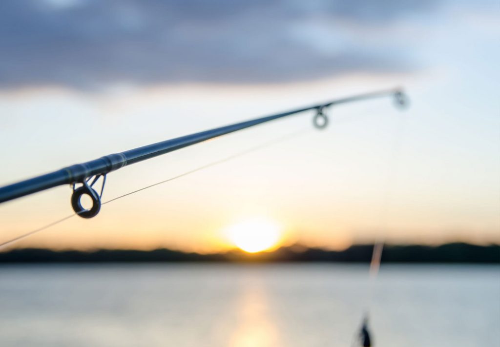 Auckland Fishing Charters Archives | The Red Boats